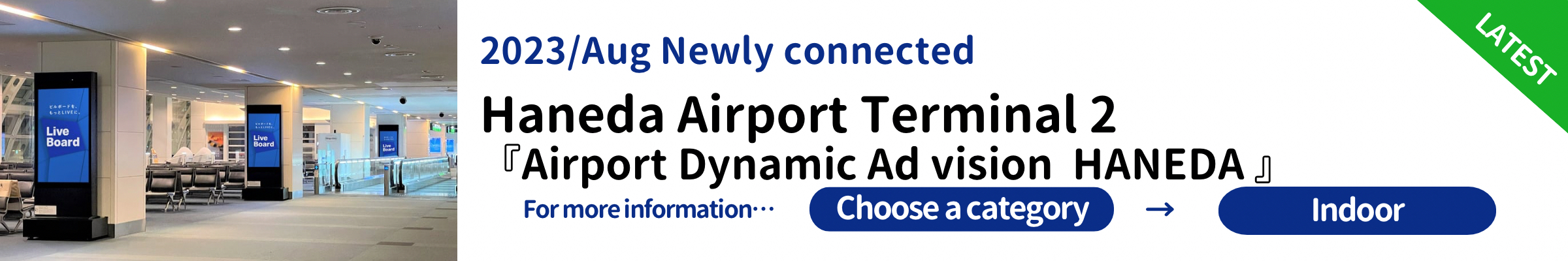 Screens | LIVE BOARD