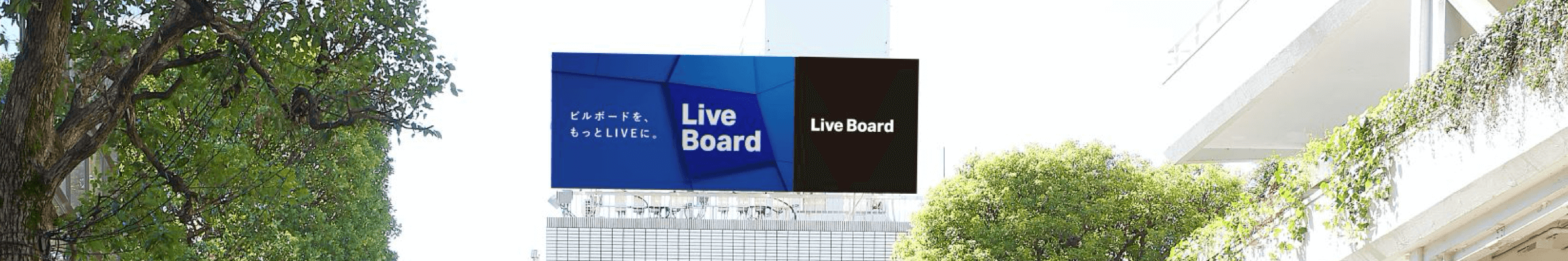 Screens | LIVE BOARD